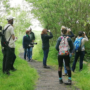 Cornwall Birdwatching Tours