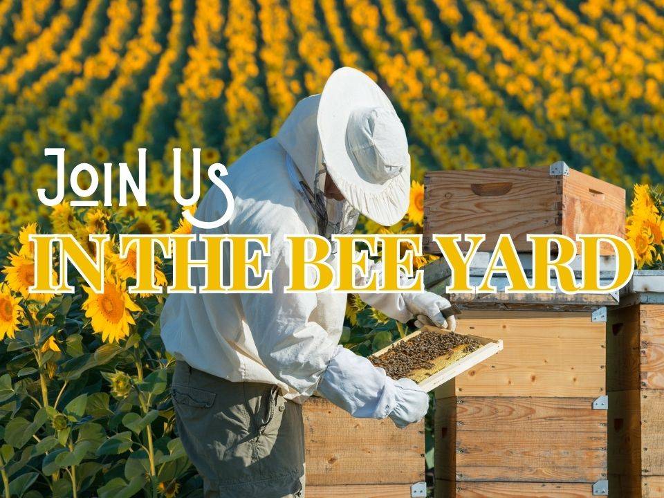 Beekeeping Basics – Gypsy Shoals Farm