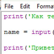 Урок 3. Команда Input — Шаг 1 — Stepik