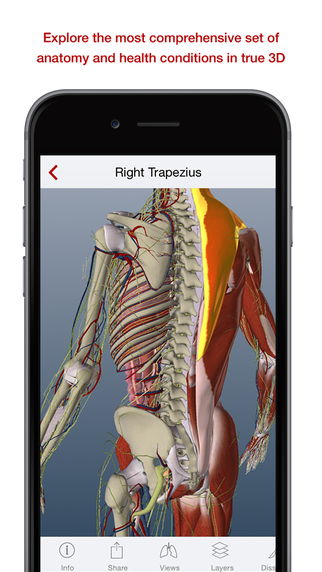 BioDigital Human - Anatomy and Health Conditions in 3D! Review - Slant