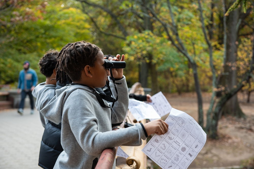 Plant and Animal Observation