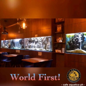 Cafe Aquatica