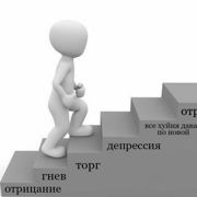 SDLC/STLC — Шаг 1 — Stepik