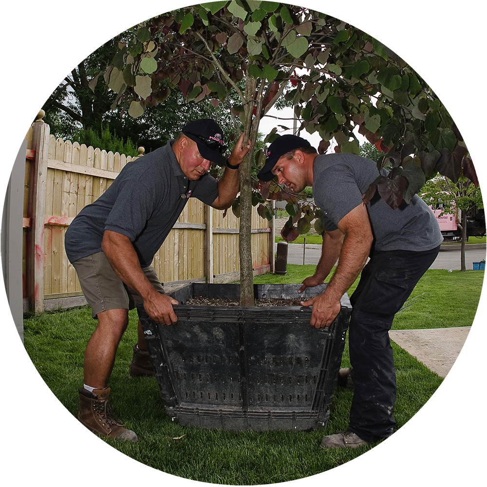 Root Rescue | Transplanter, Mycorrhizal, Plant Grower and Dealer – Root ...