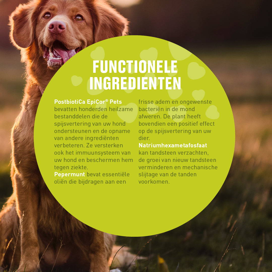 Skin Support | Betere Vacht of Huid voor je Hond | Fuel