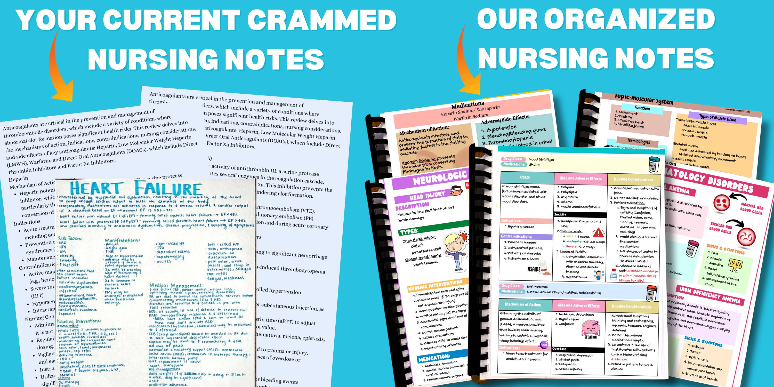 Mega Nursing Bundle-All Study Guides (Digital-PDF Files ONLY ...