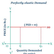 Introduction — Шаг 2 — Stepik
