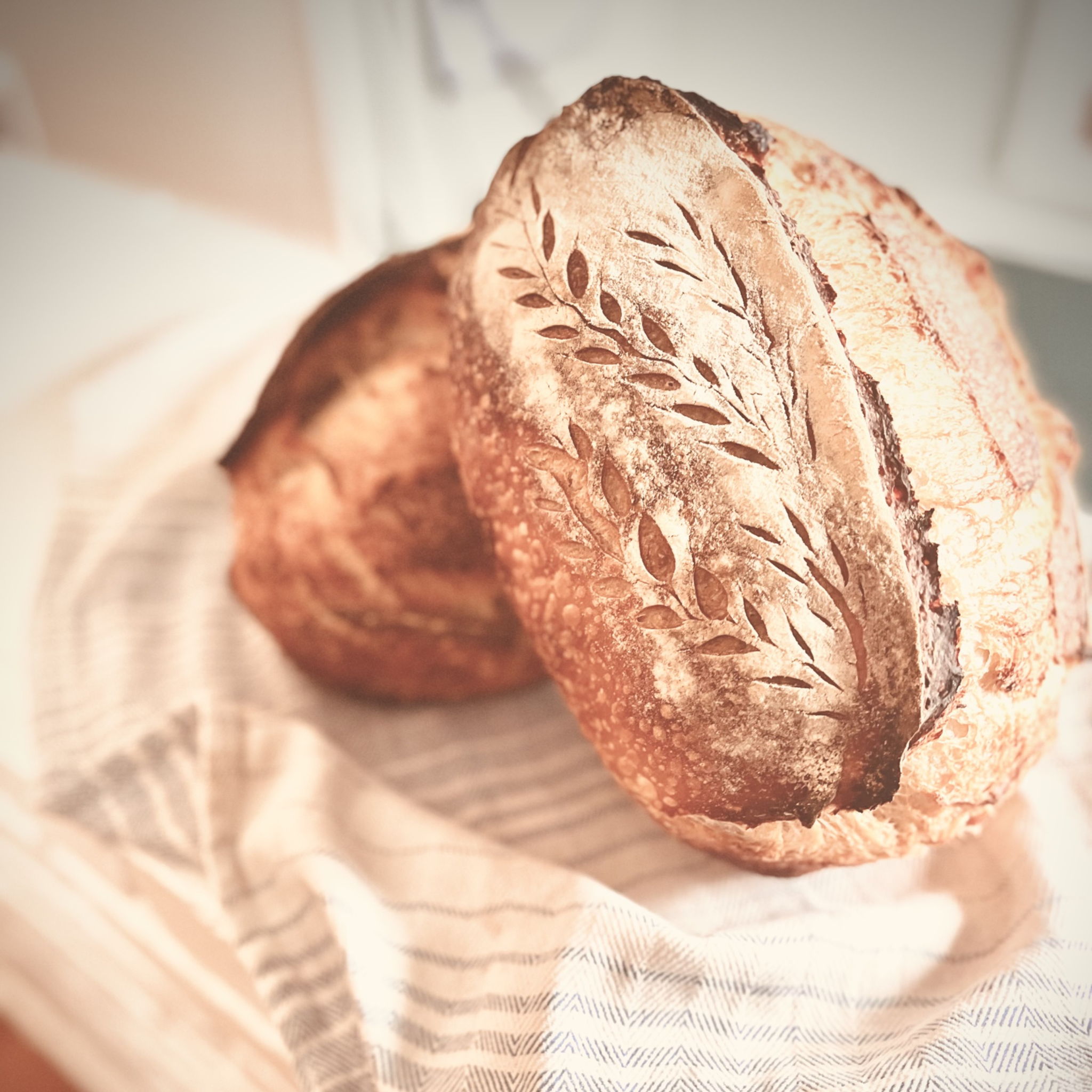 Back to Basics: bread, broth and beauty