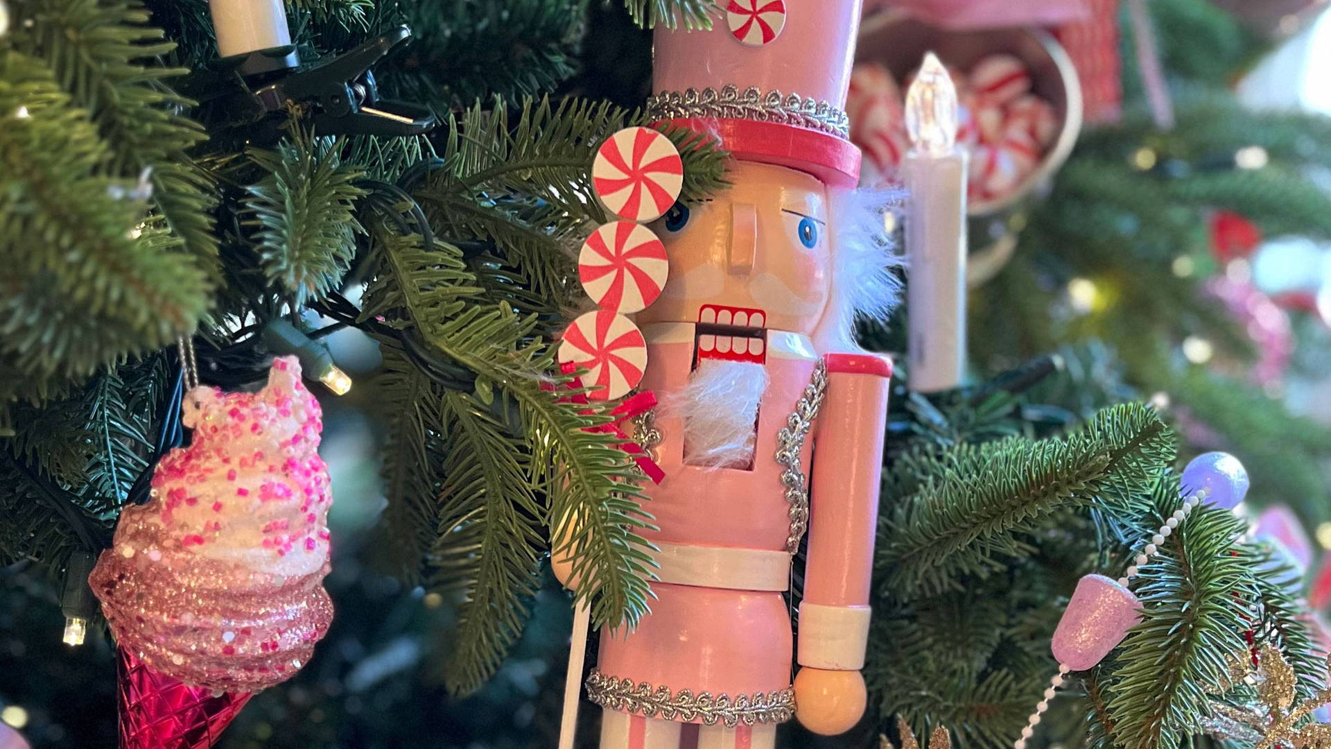 The Fox Market and Shop by The Fox Group