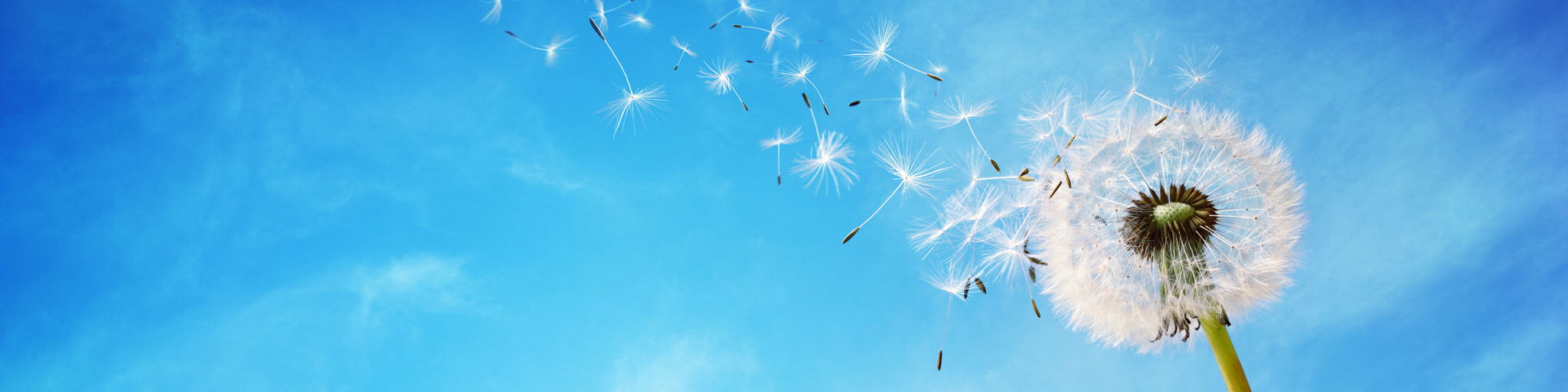 Kar-Foto - Y-tunnus: 0898440-3 - Yritystiedot, taloustiedot, päättäjät ...