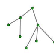 Теория вероятностей. Дерево возможных исходов — Шаг 1 — Stepik