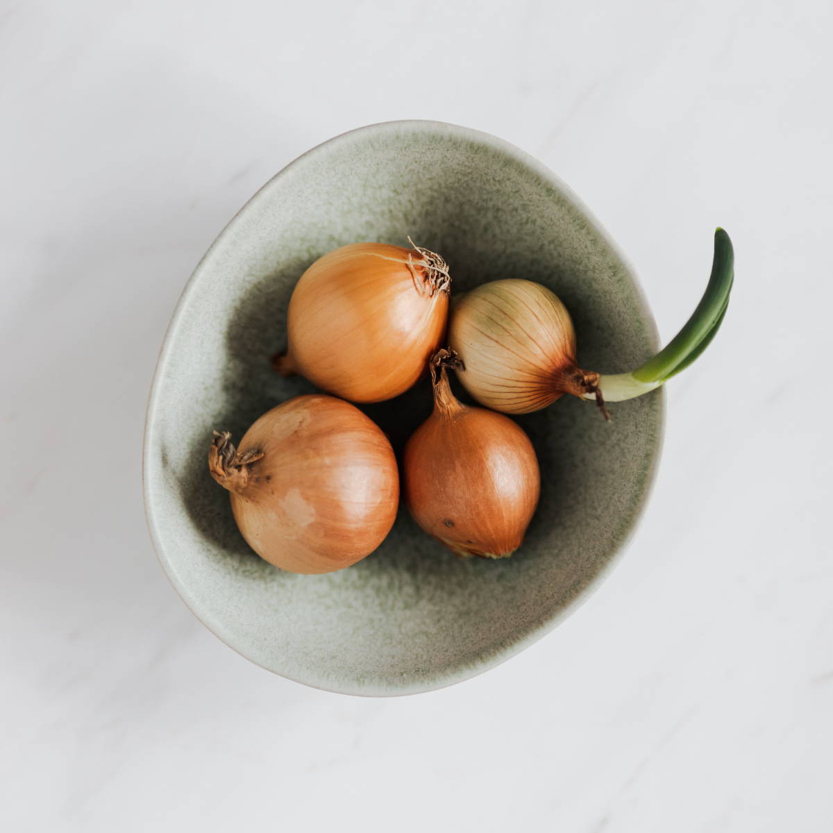 Purchase The Genate Test