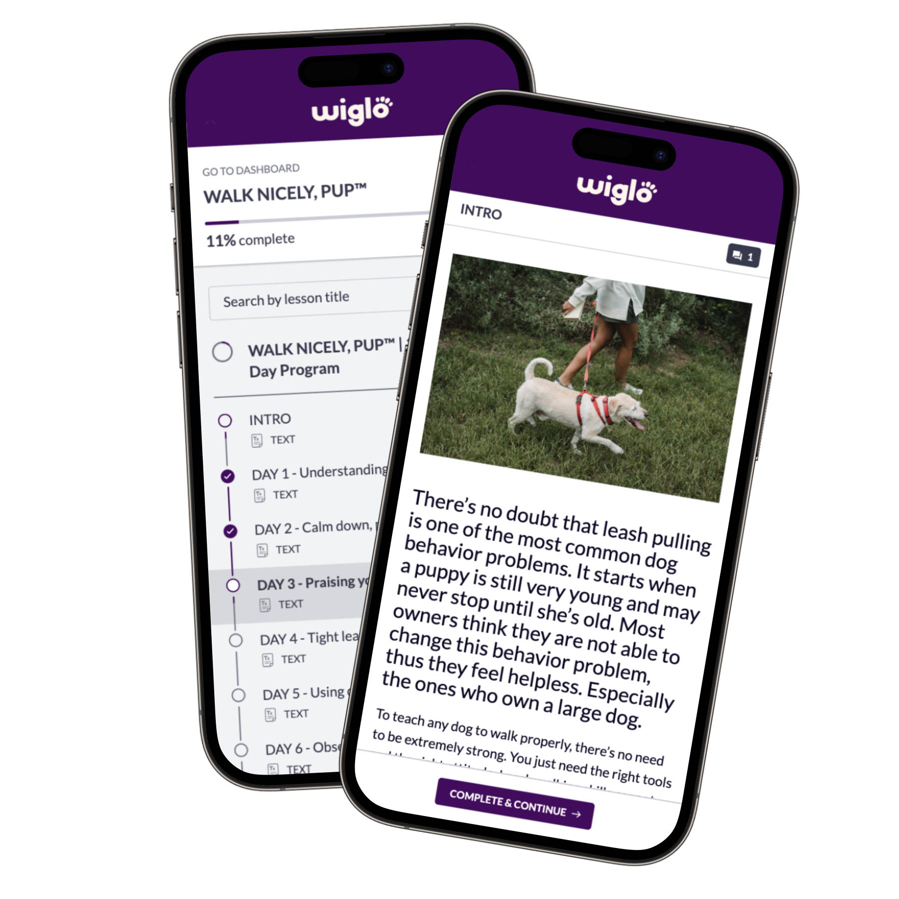 Personalized Dog Training Online – Wiglo