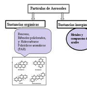 Material particulado — Шаг 1 — Stepik