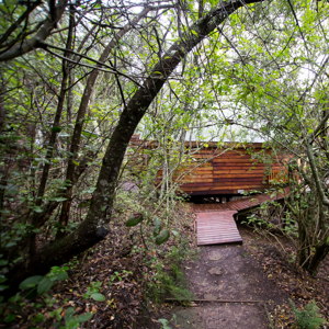 Guest Hub - Fern Gully Forest Cabins