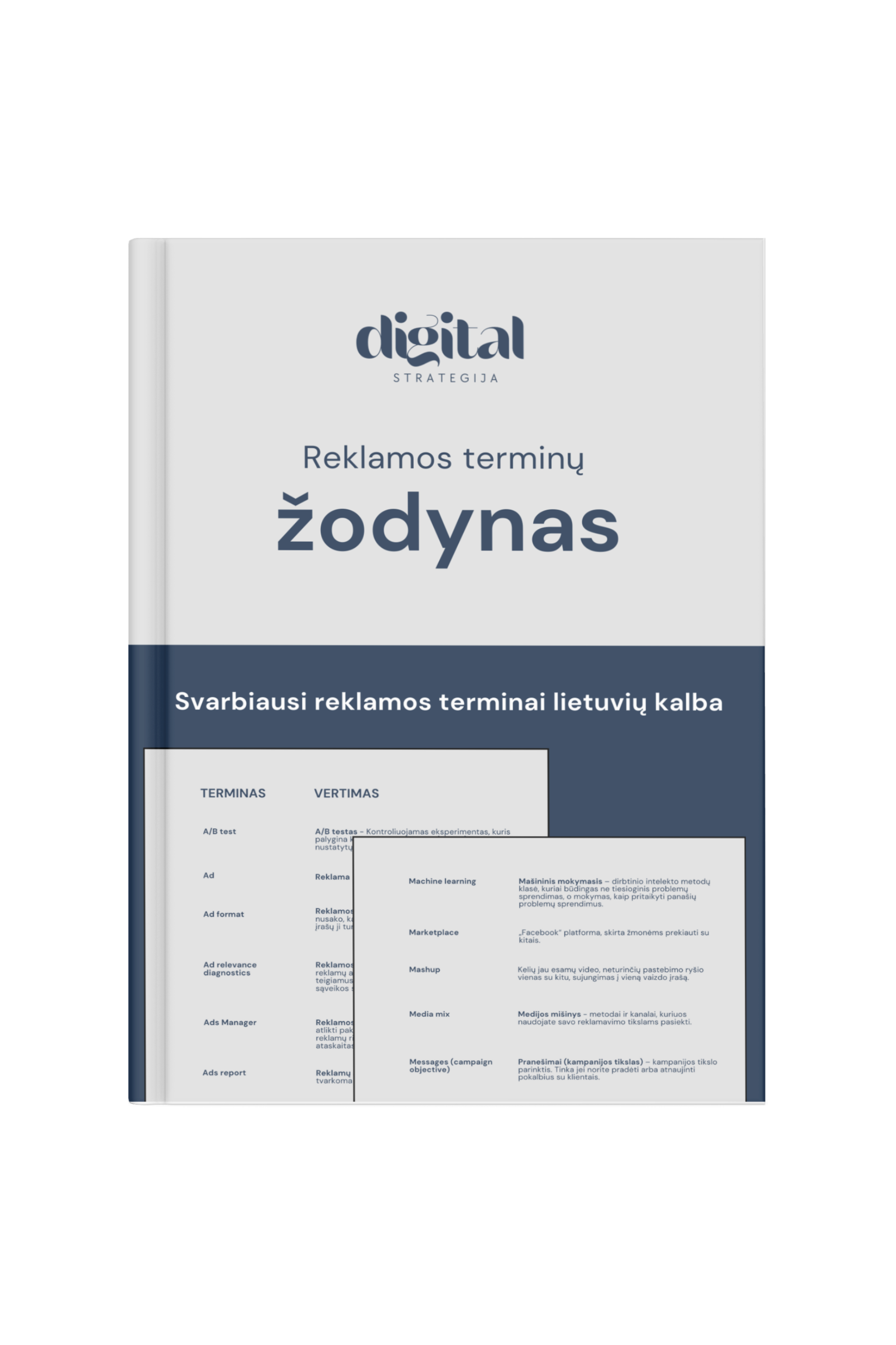 Meta Reklamos Kursai – DigitalStrategija.lt