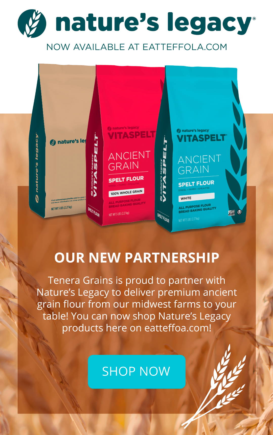 Nature's Legacy | Shop Now – Teffola