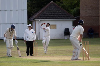 All Rounder | Cricketer Exchange