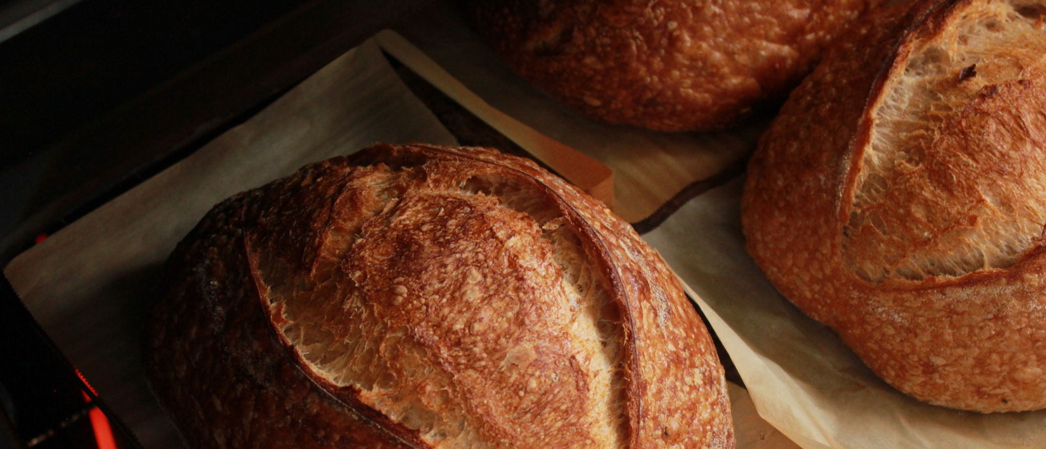 House of Bread Bakeshop