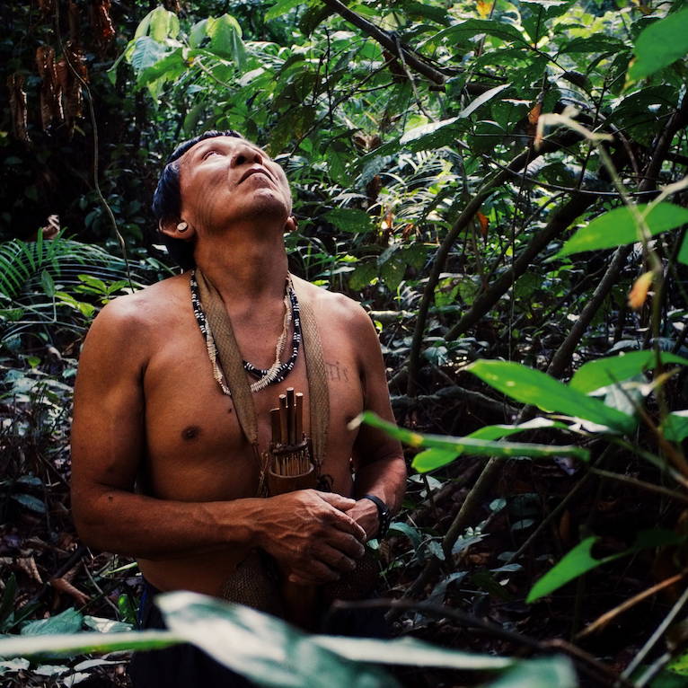 Indigenous Peoples Are Truly Forest Guardians – #TOGETHERBAND