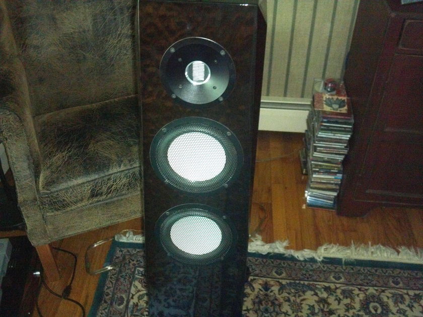 JAS AUDIO ODIN FLOORSTANDING Amazing qual... For Sale | Audiogon