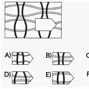 Тақырыпты үйрену - Изучить тему — Шаг 6 — Stepik