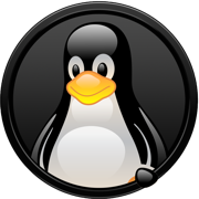 Установка Astra Linux — Шаг 5 — Stepik