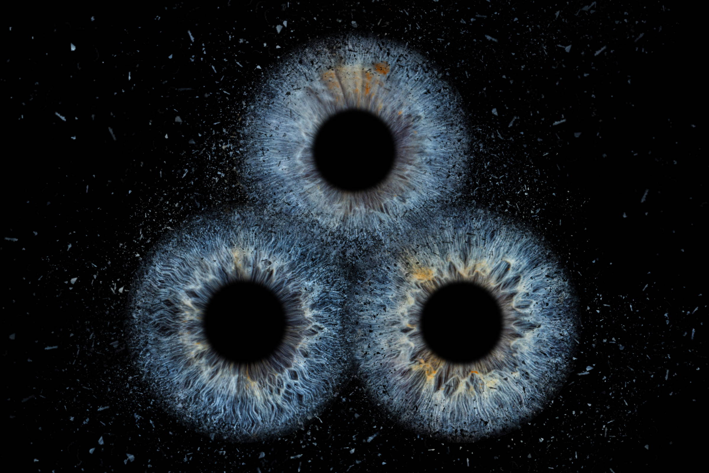 Kainoraštis – Akių Fotografija