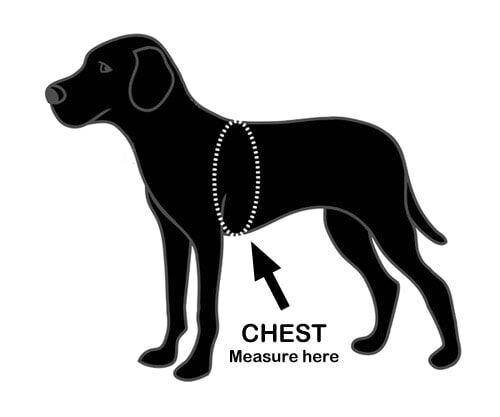 Size Guide – Paw Roll