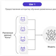 Supervised Machine Learning — Шаг 1 — Stepik