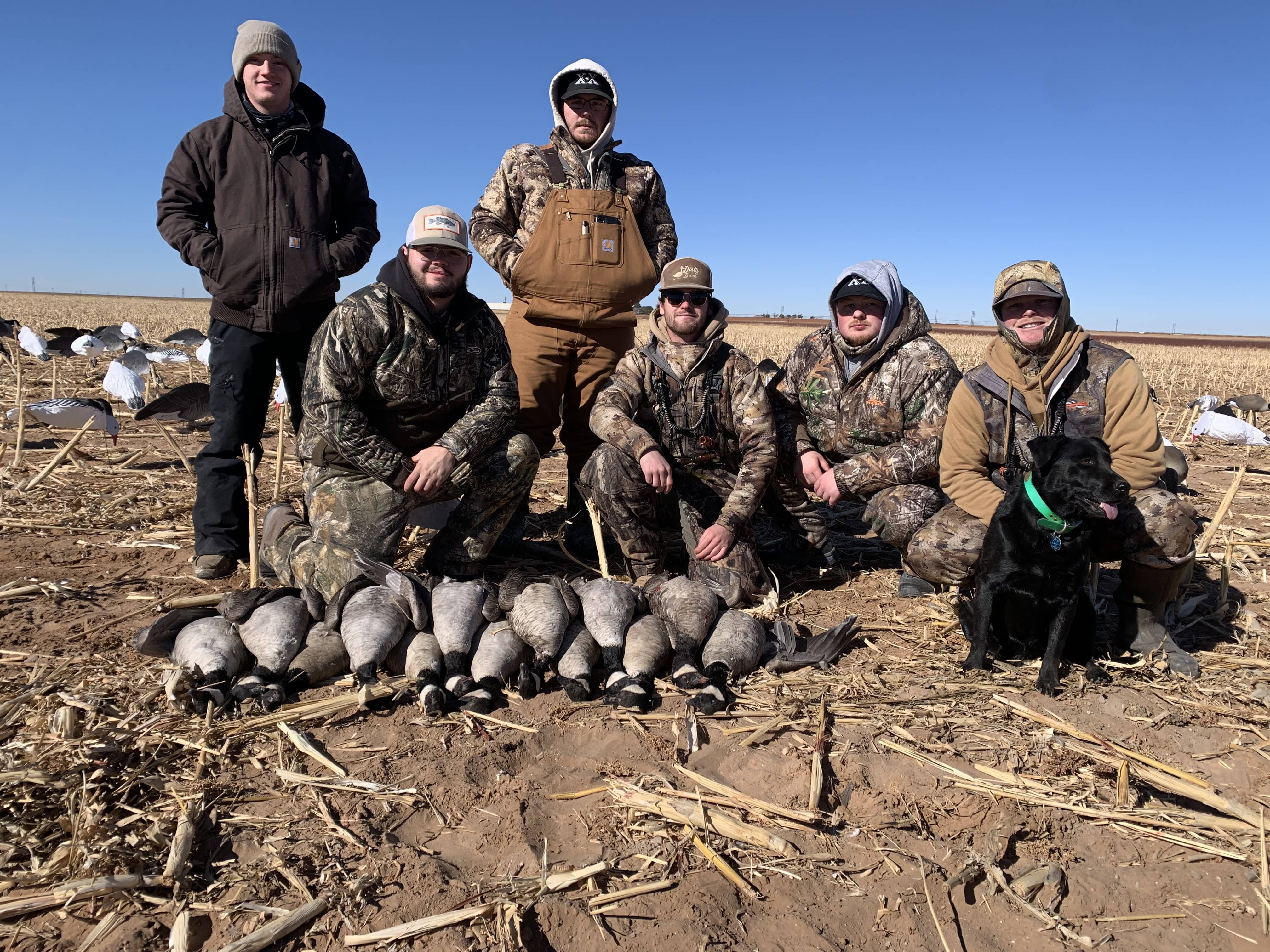 Double X Goose Hunt in Texas, United States - Mallard Bay