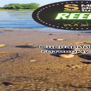 Разработка сценария — Шаг 1 — Stepik