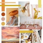 Мудборд — Шаг 1 — Stepik