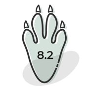 Конституция и экстерьер — Шаг 9 — Stepik