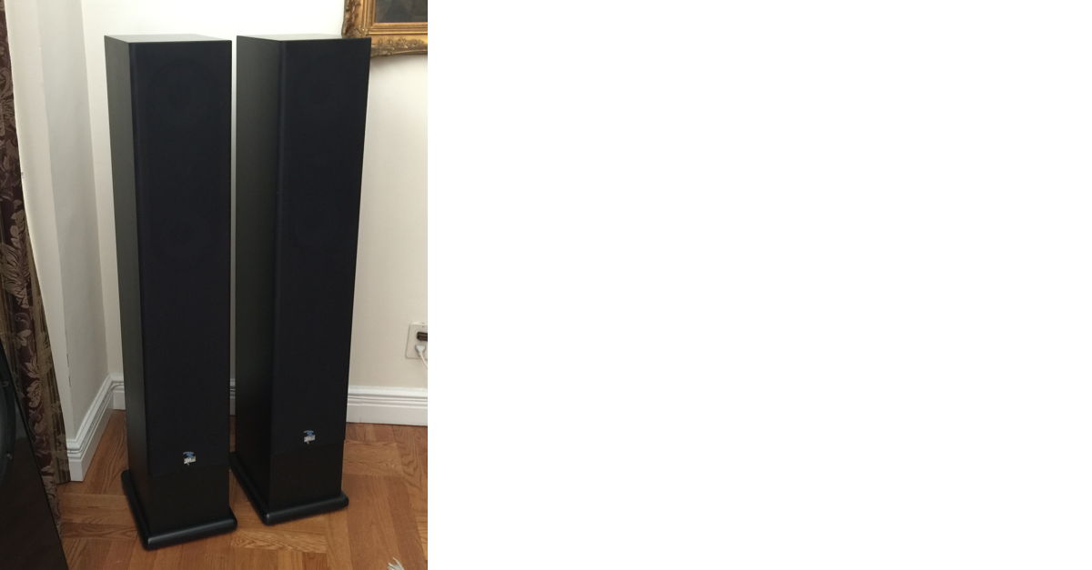 JMLab Daline 6.1 Floor Standing Speakers-A... For Sale | Audiogon