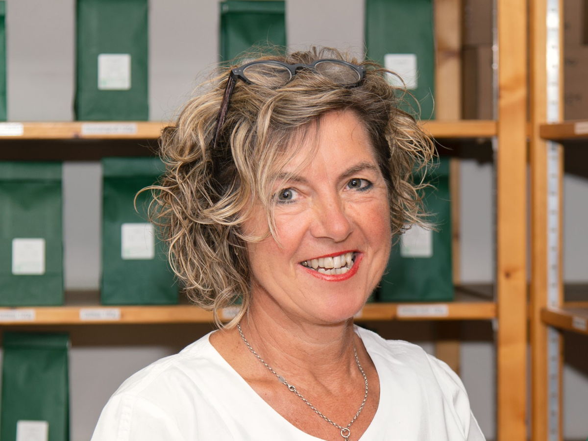 Teemischungen & einzelne Sorten: Ihr Tee aus der Apotheke