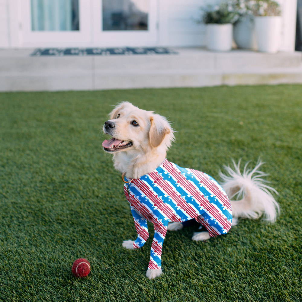 Shed Defender® Dog Onesies - Contains Shedding & Reduces Anxiety