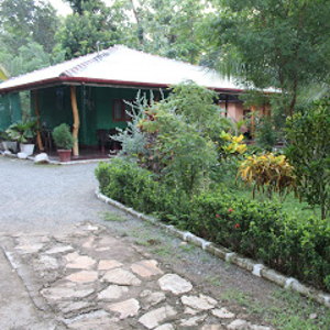 Walawa Cottage Accommodation, Safari & Taxi Service