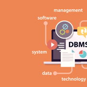 Database Management Systems — Шаг 1 — Stepik