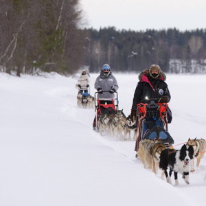 Guest Hub - wolf trail