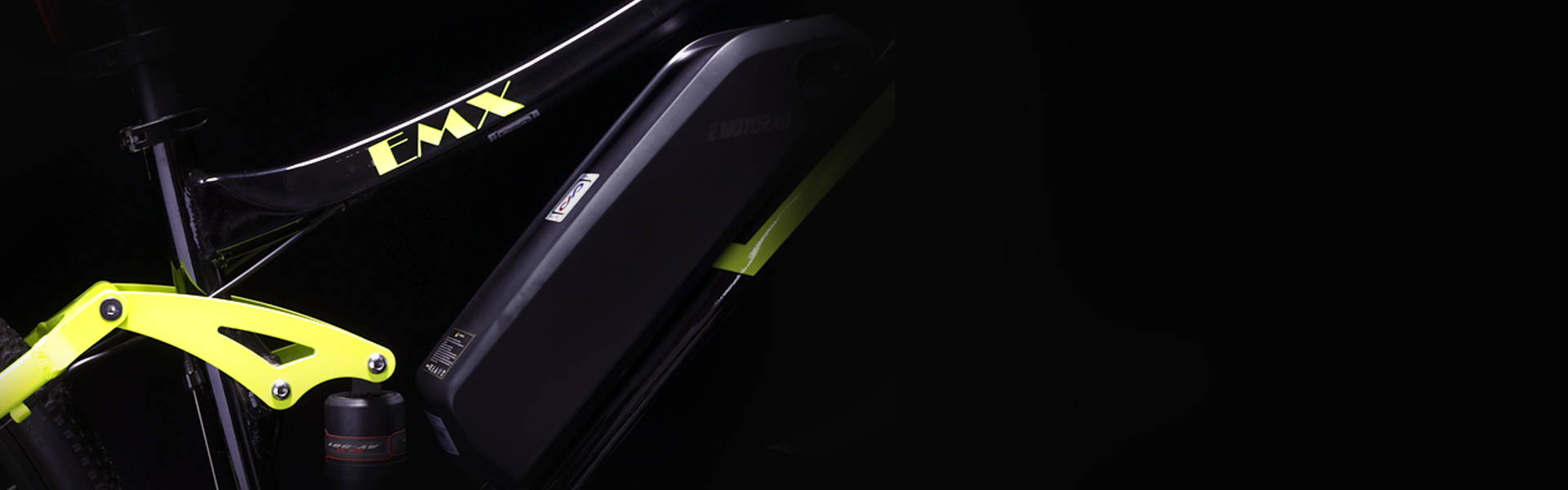 EMX | Best and Specialized Electric Mountain Bike - Emotorad – EMotorad