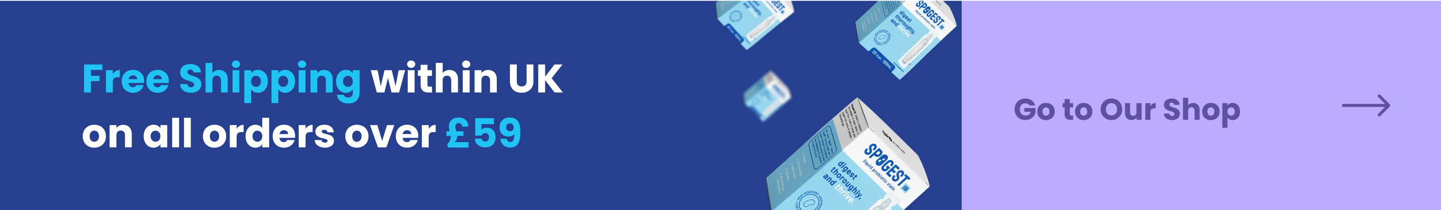 FAQs – SpoGest-IB UK