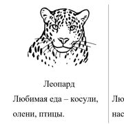 Задания для детей-билингвов — Шаг 1 — Stepik