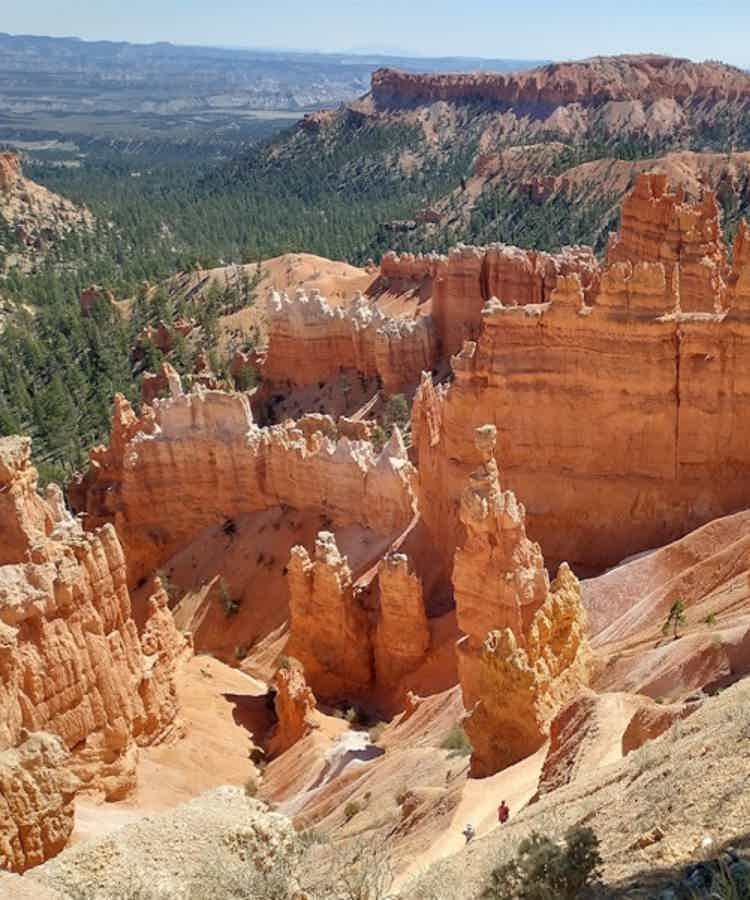 YWAM Salt Lake City - Youth With A Mission — Youth With A Mission