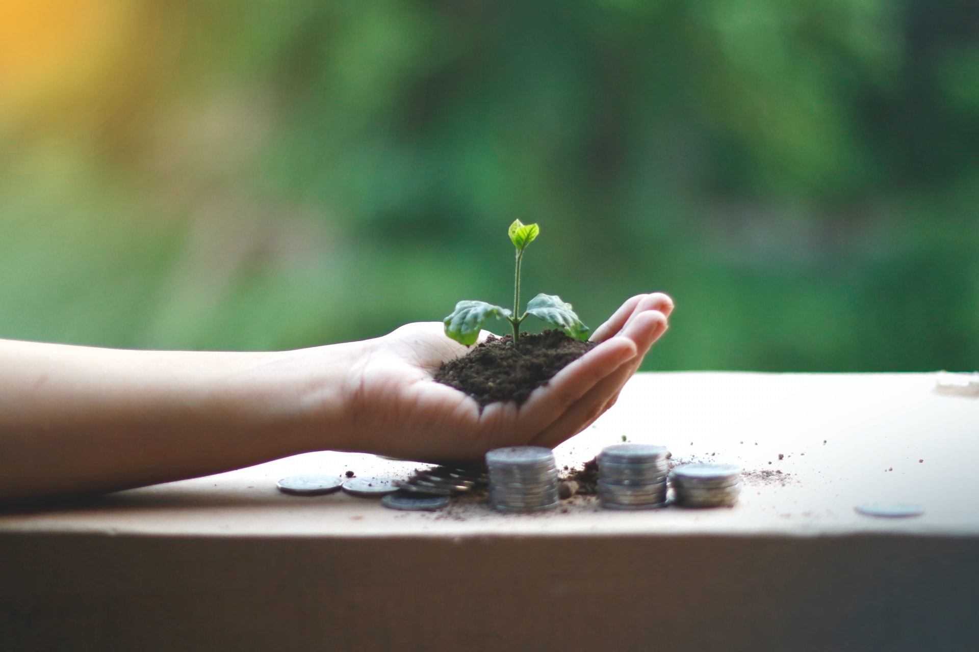 LCI ou Tesouro Direto: qual escolher? - Senhor Finanças LCI ou Tesouro Direto: qual escolher? - Senhor Finanças