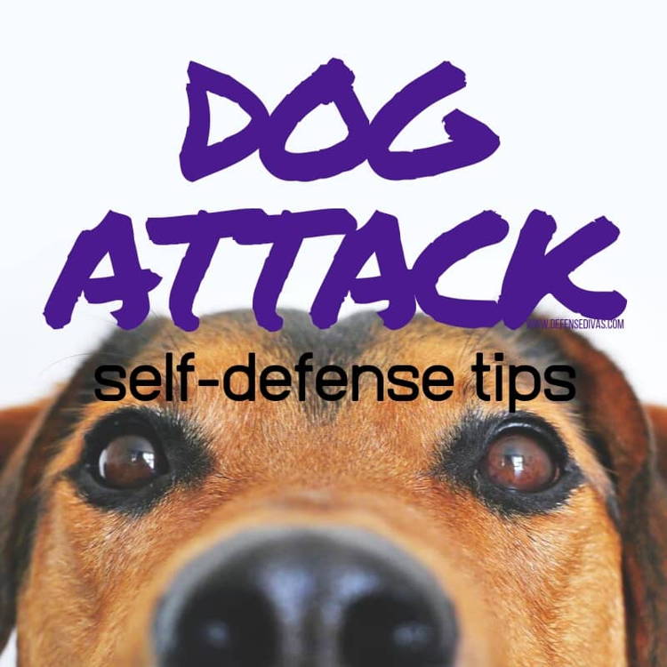 defend yourself from dog attack