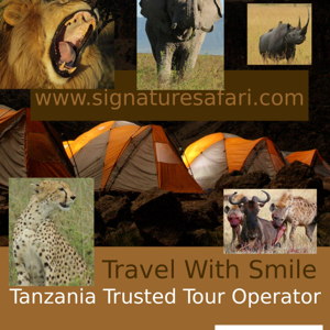 Guest Hub - Signature Safari