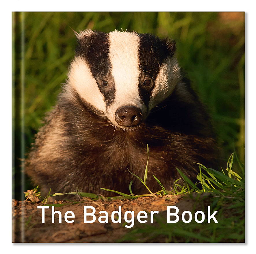 Graffeg Publishing – Graffeg Books