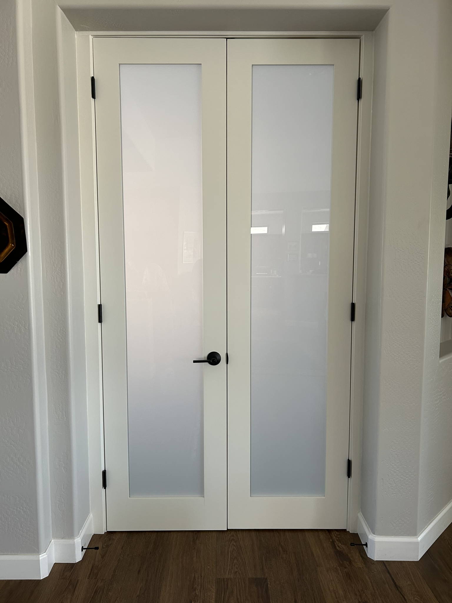 Big Changes with 2 Privacy Glass Interior Doors in Surprise AZ Home ...
