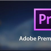 Обзор программы — Шаг 1 — Stepik